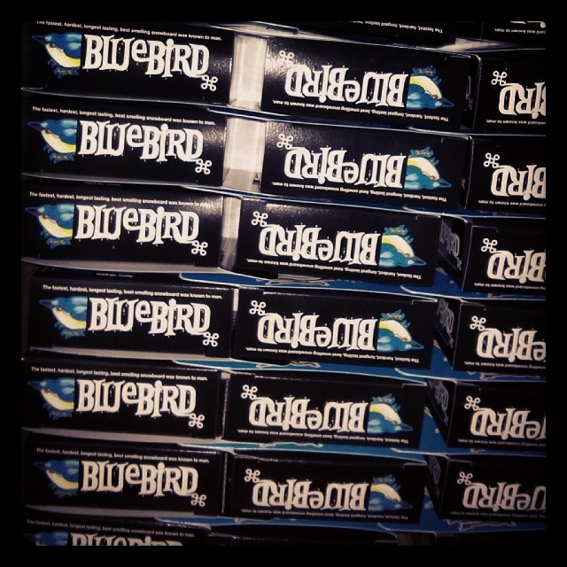 Bluebird Wax is back again! - Maxtrack